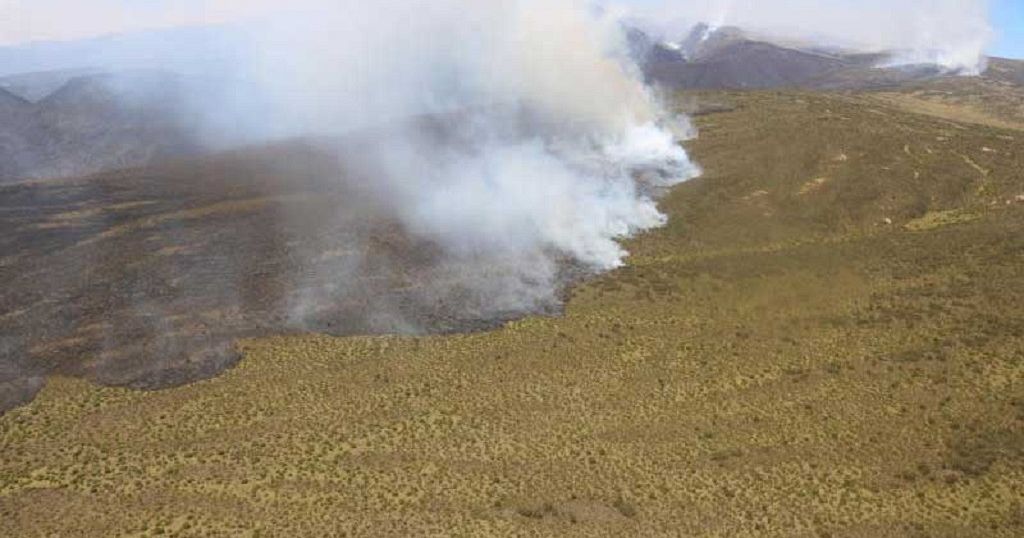 Wild fire engulfs Mount Kenya | Africanews