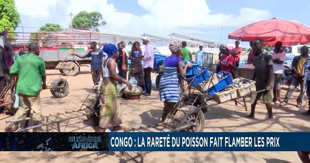 Congo: Fish scarcity drives prices up | Africanews