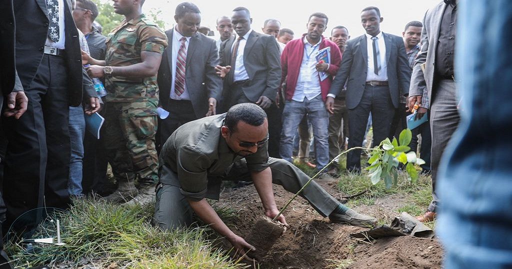 Ethiopia PM launches 4 billion tree planting project, starting in ...