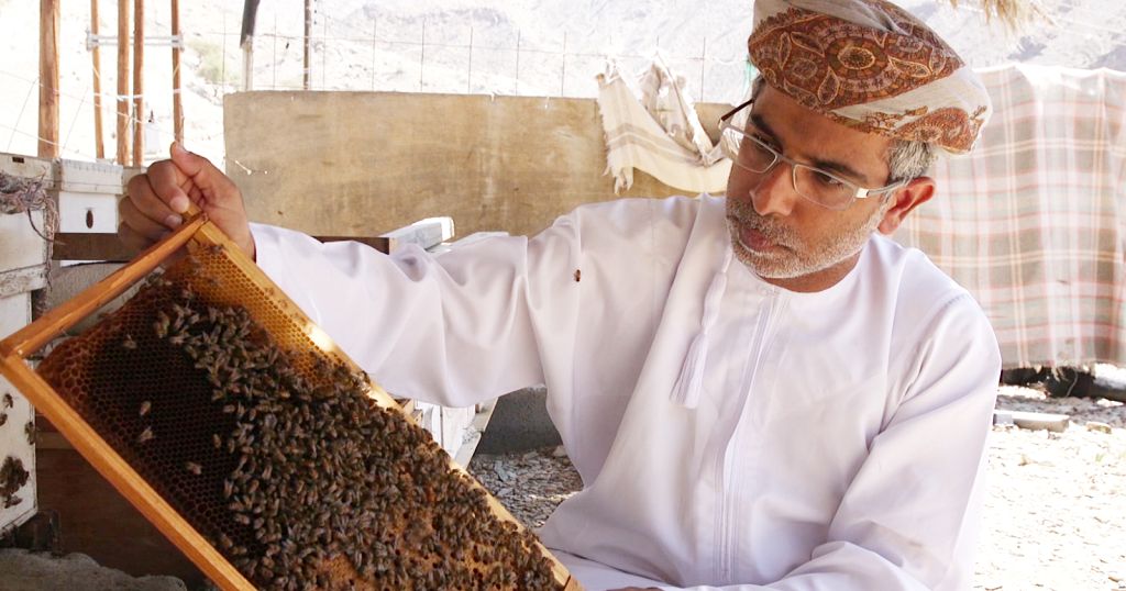Why is honey in Oman creating a business buzz? | Africanews