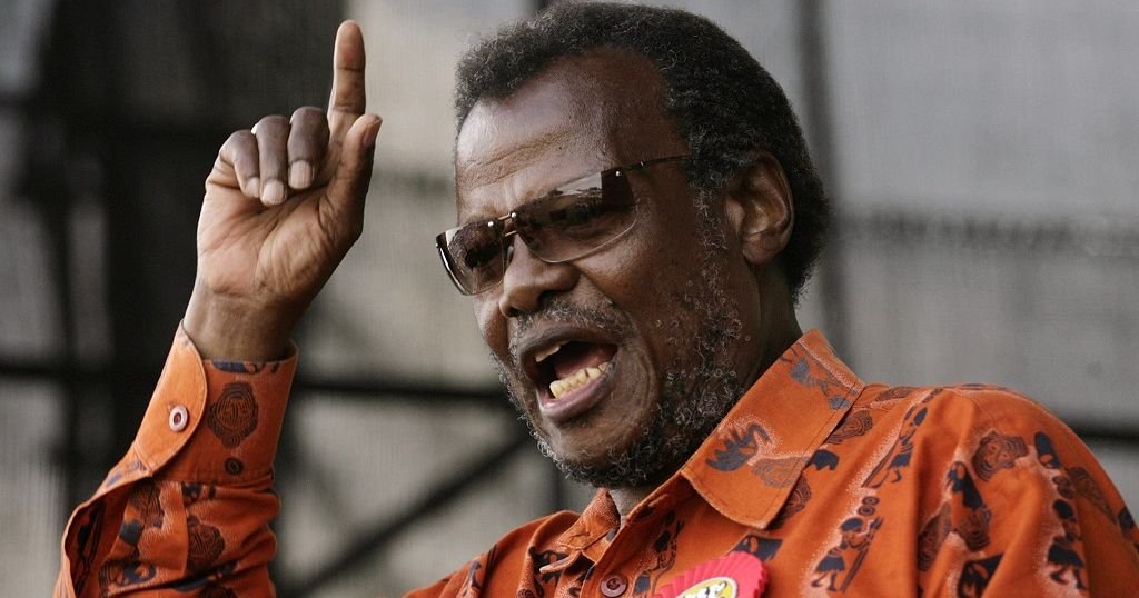 South Africa: Zulu party gets new chair in 44 years | Africanews