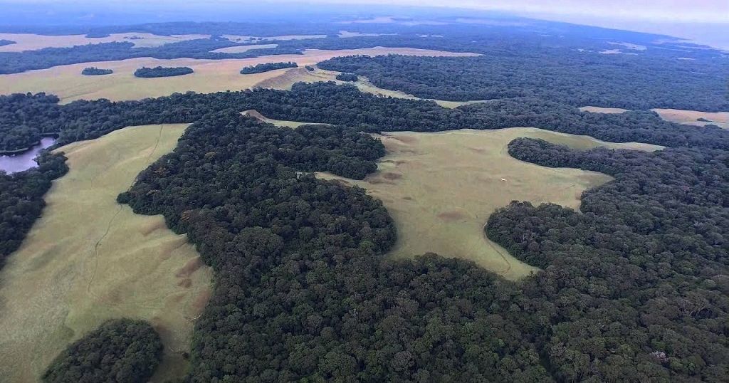 Gabon to be first African nation to receive funding to protect its ...