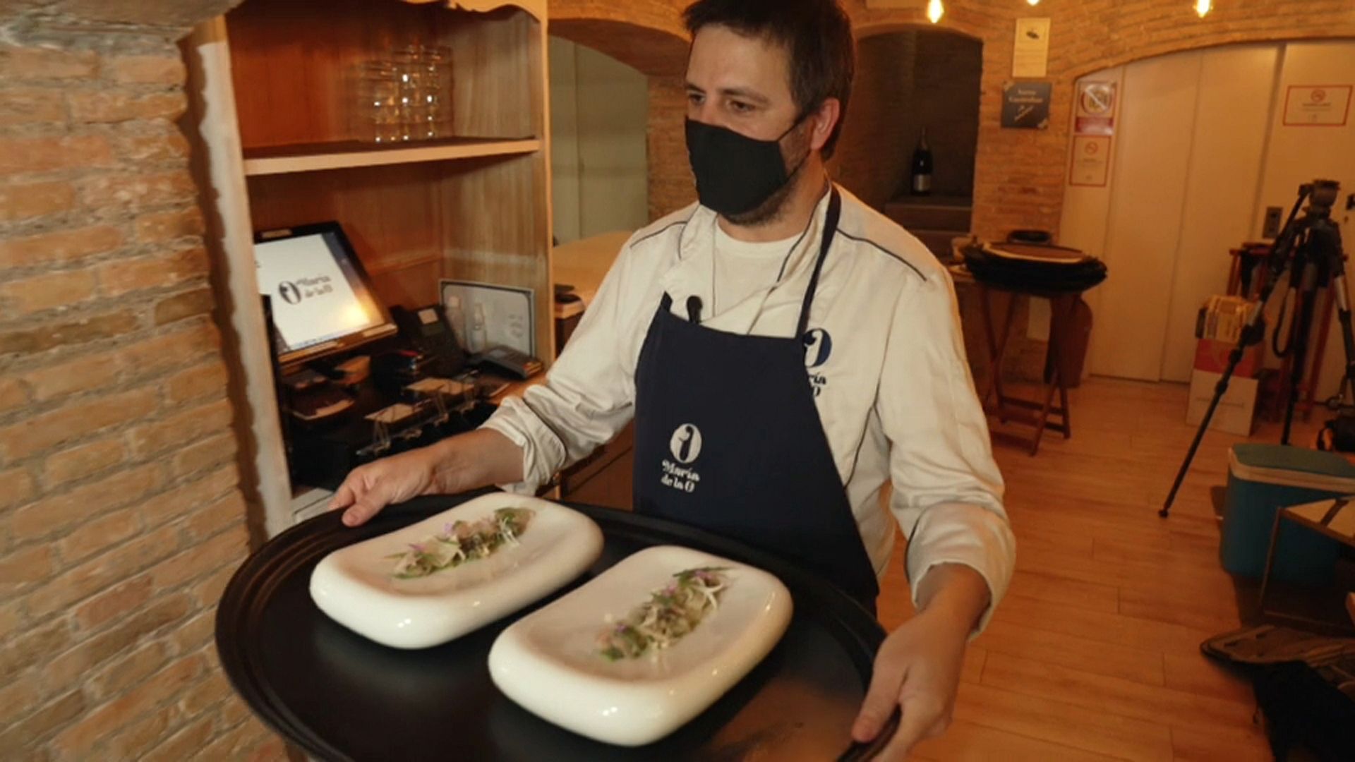 La importancia de la 'ortiguilla de mar' en el ecosistema marino | Euronews