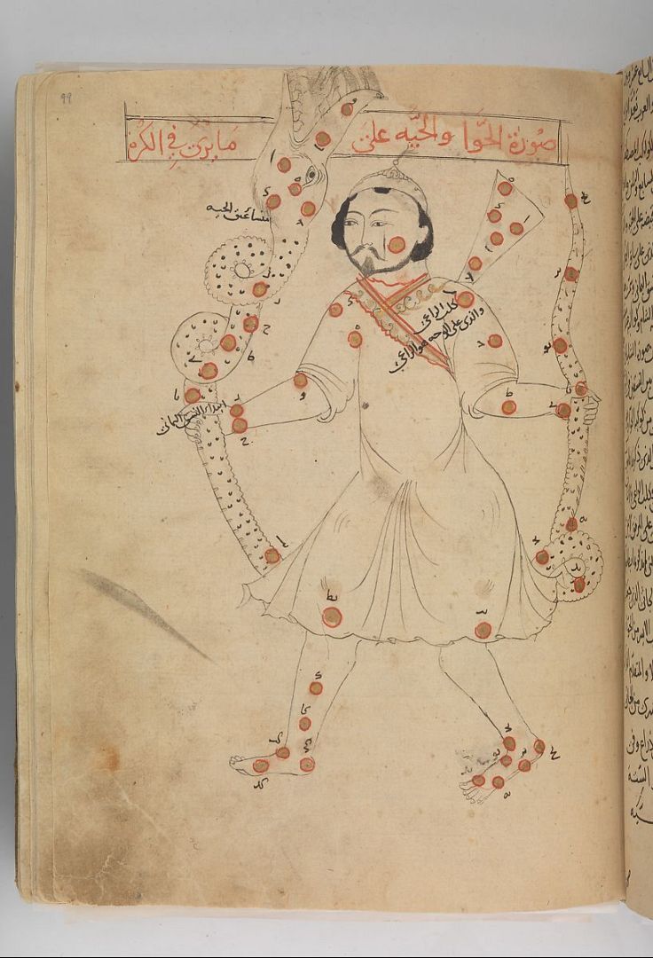 Images of the Fixed Stars: Ancient astronomy manuscript resurrected by ...