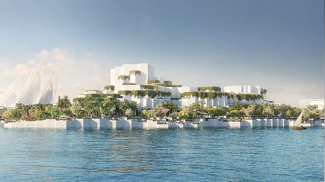 Abu Dhabi to launch TeamLab Phenomena on Saadiyat Island | Euronews