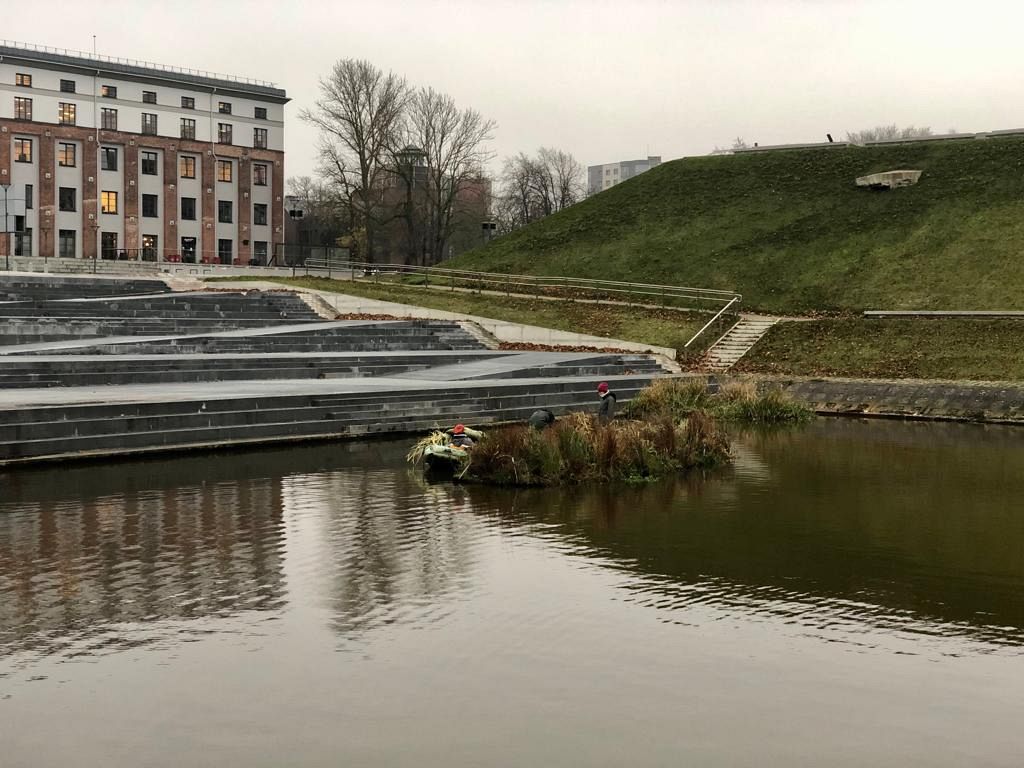 Floating wetlands help combat nutrient pollution in Baltic lagoons ...