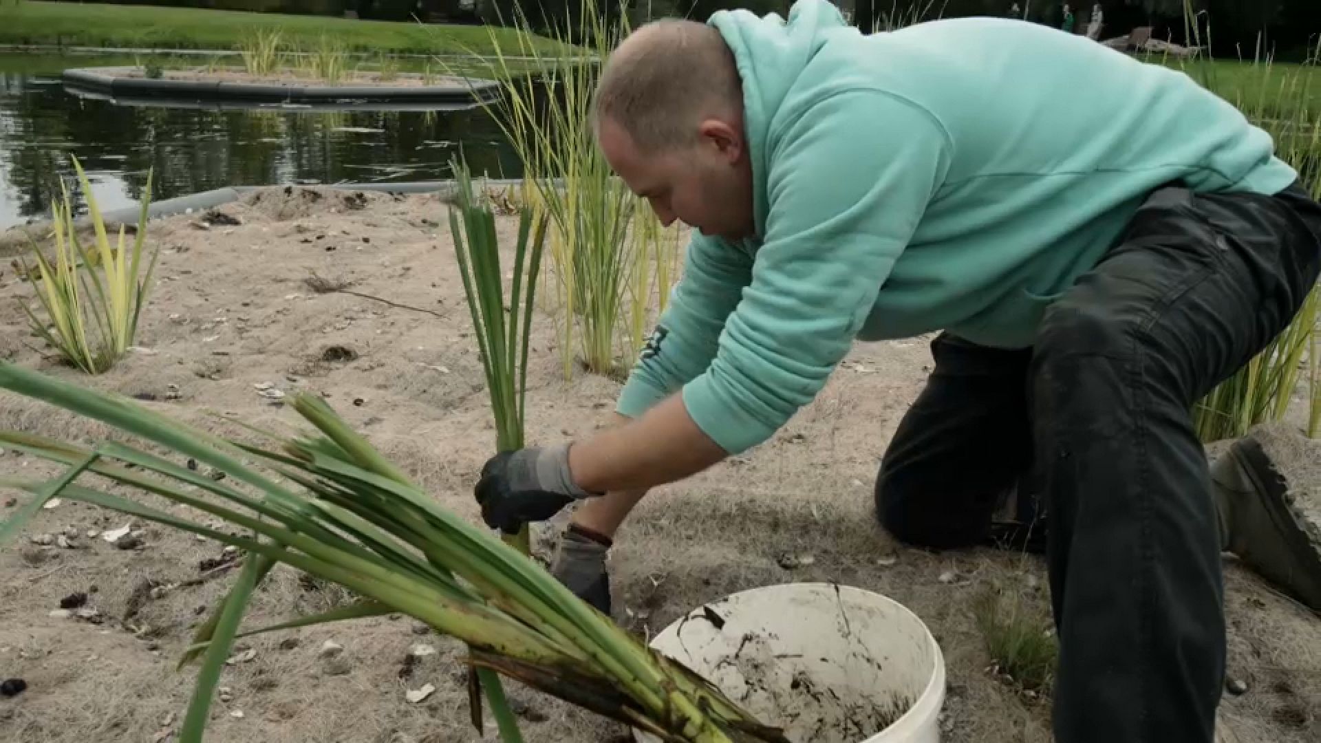 Europe starts cleaning up its act to save the Baltic Sea | Euronews
