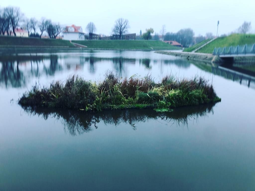 Floating wetlands help combat nutrient pollution in Baltic lagoons ...