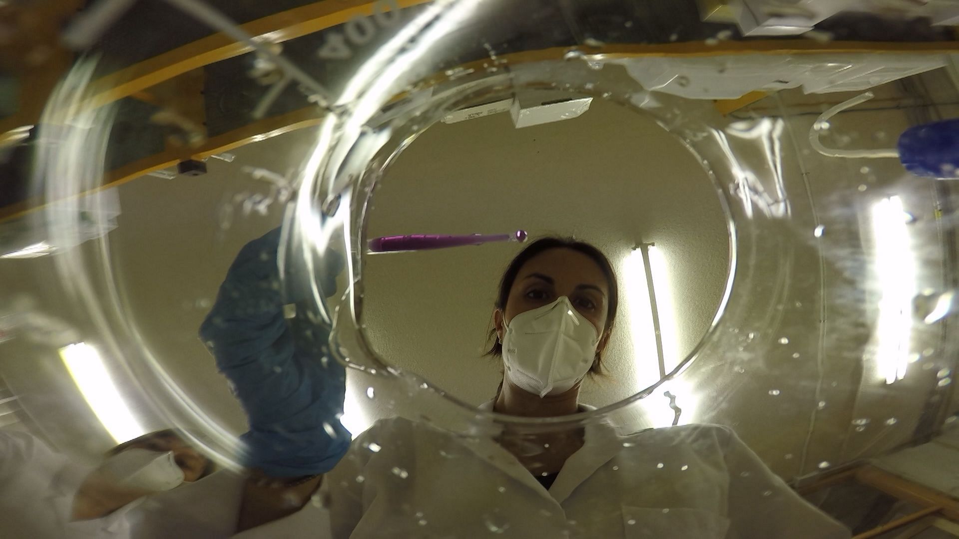 The BARBARA Project - transforming food by-products into useful raw ...