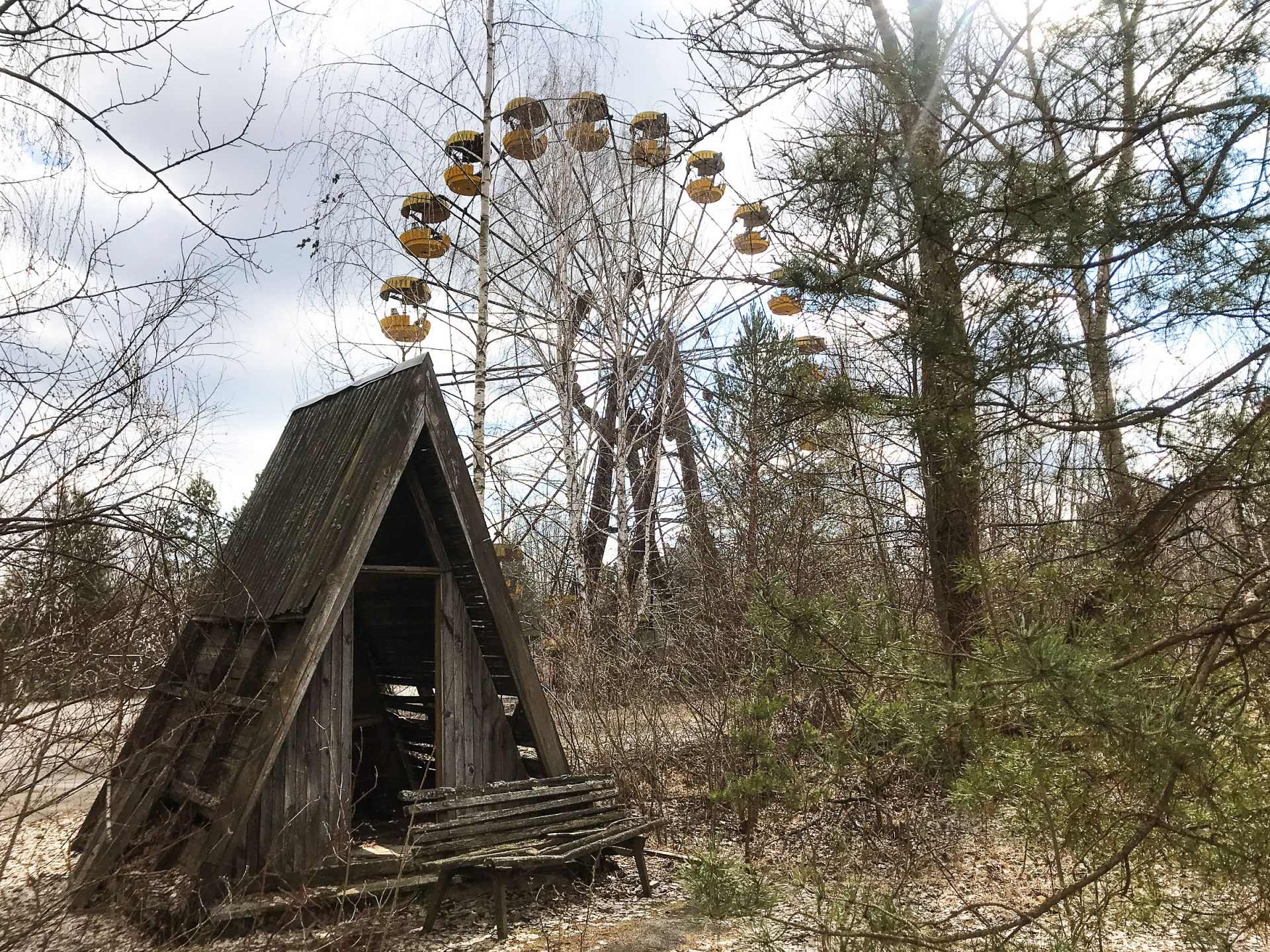 Radiation levels at Chernobyl are rising: The environmental impact of ...