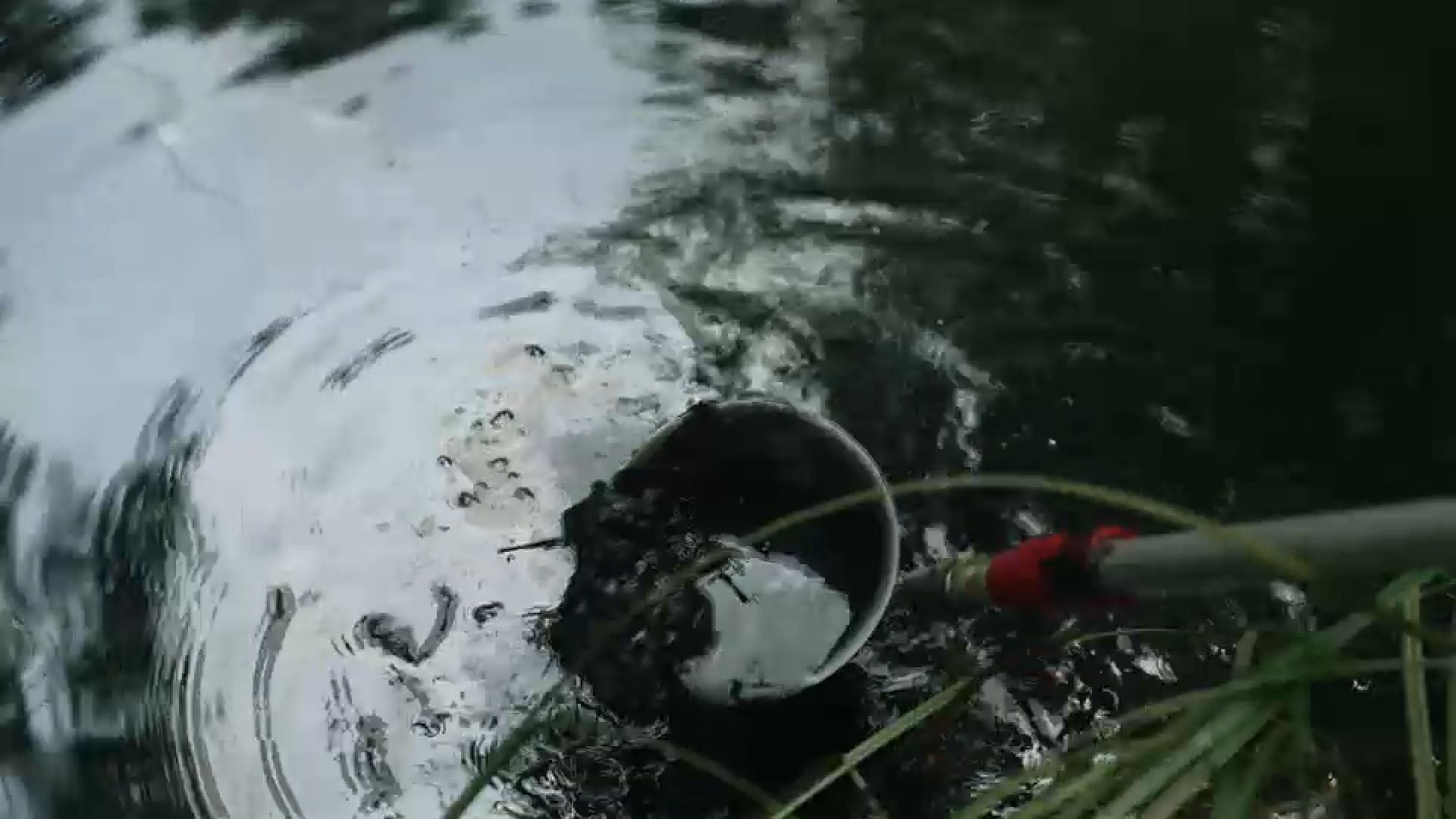 Europe starts cleaning up its act to save the Baltic Sea | Euronews