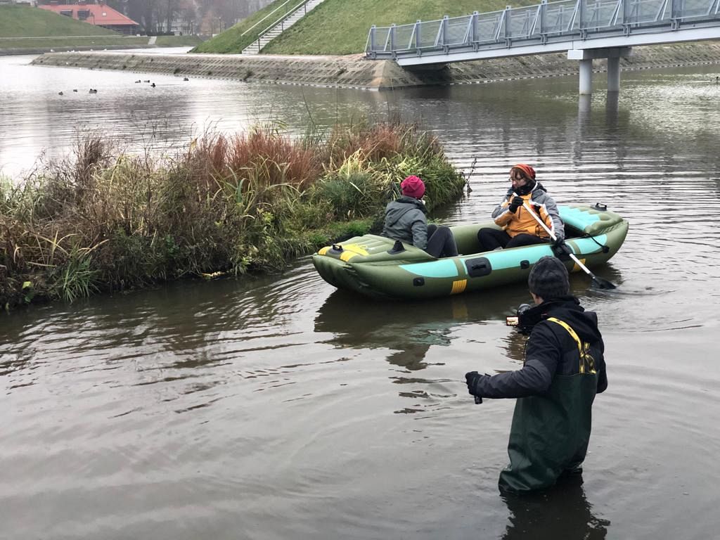 Floating wetlands help combat nutrient pollution in Baltic lagoons ...