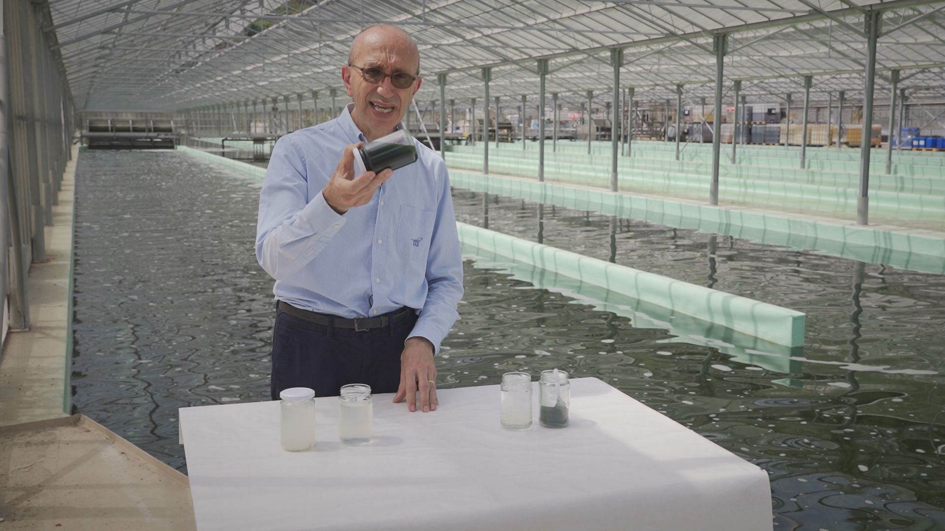 How microalgae can treat wastewater and turn it into a valuable ...