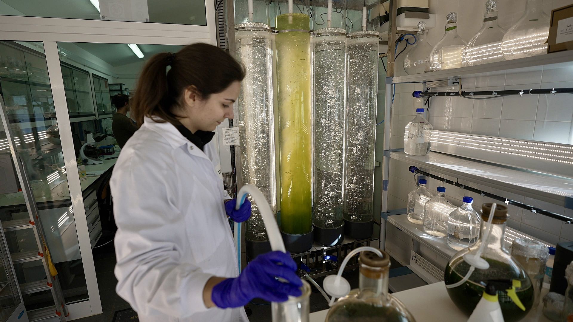 Et si les microalgues étaient nos alliées pour protéger la planète ...