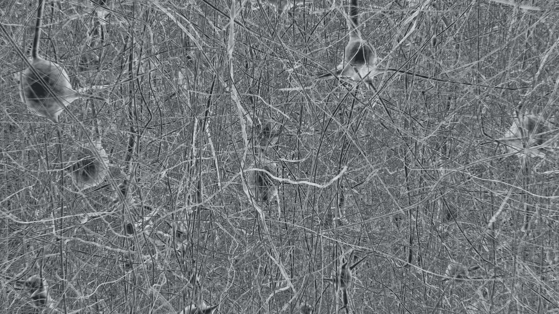 The Human Brain Project: Slicing brains and thinking machines | Euronews