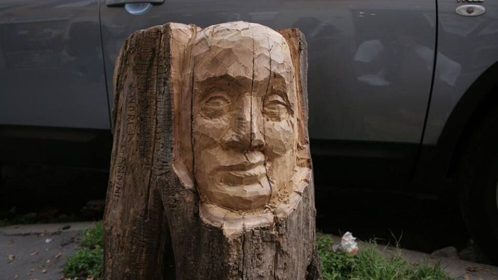 Street artist turns tree stumps into work of art | Euronews