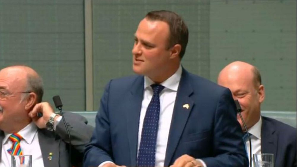 Australian MP proposes to partner during parliament session | Euronews