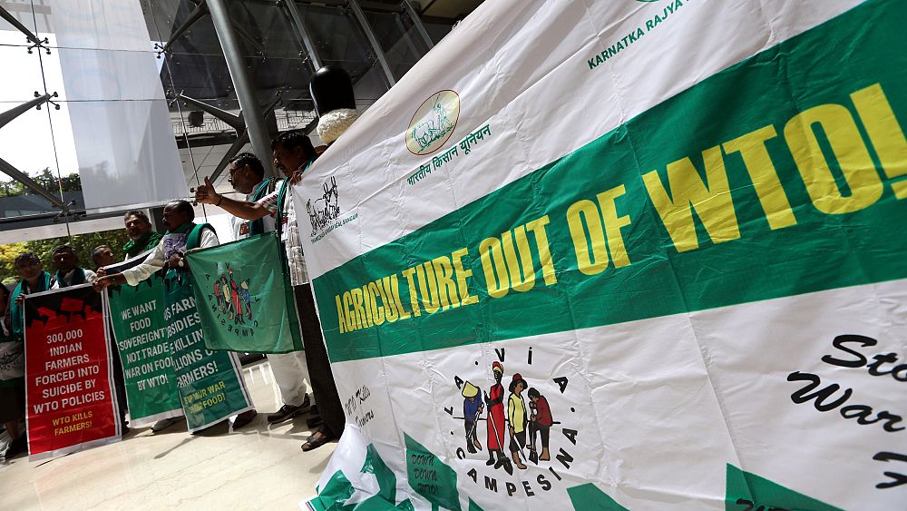 VIDEO : Scuffles at Buenos Aires anti-WTO rally | Euronews