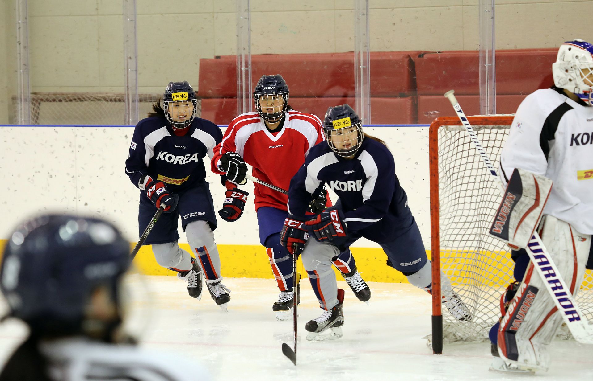 What to look out for at the 2018 Winter Olympics in South Korea | Euronews