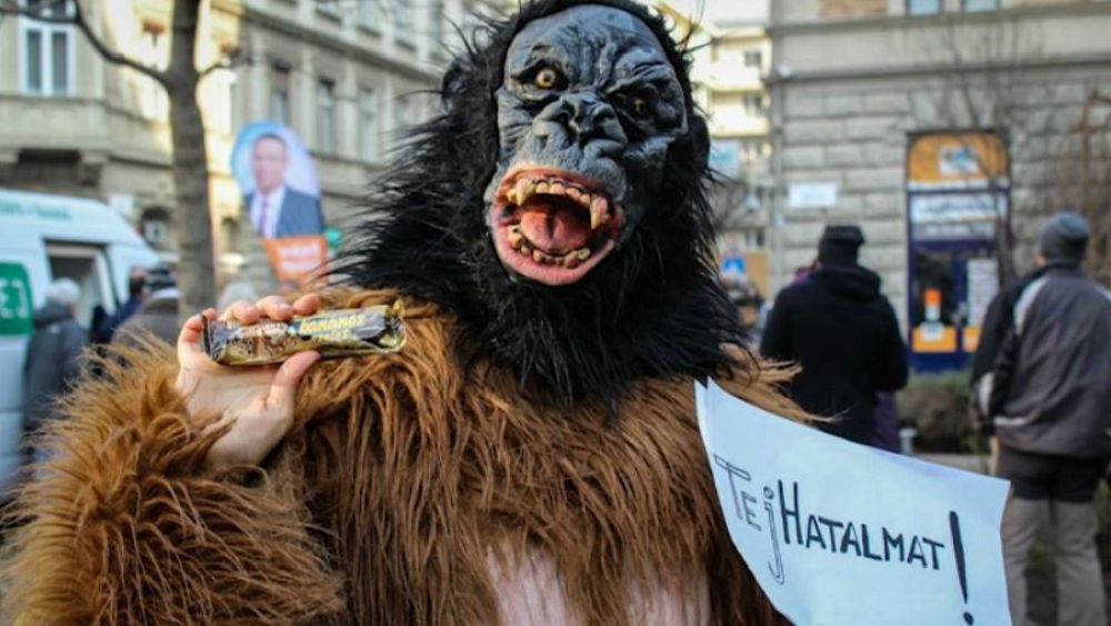 On the road with Hungary's Two-tailed Dog Party | Euronews