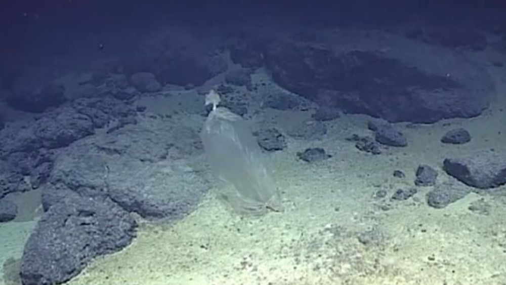 VIDEO : Plastic pollution 10,000 metres under the sea | Euronews