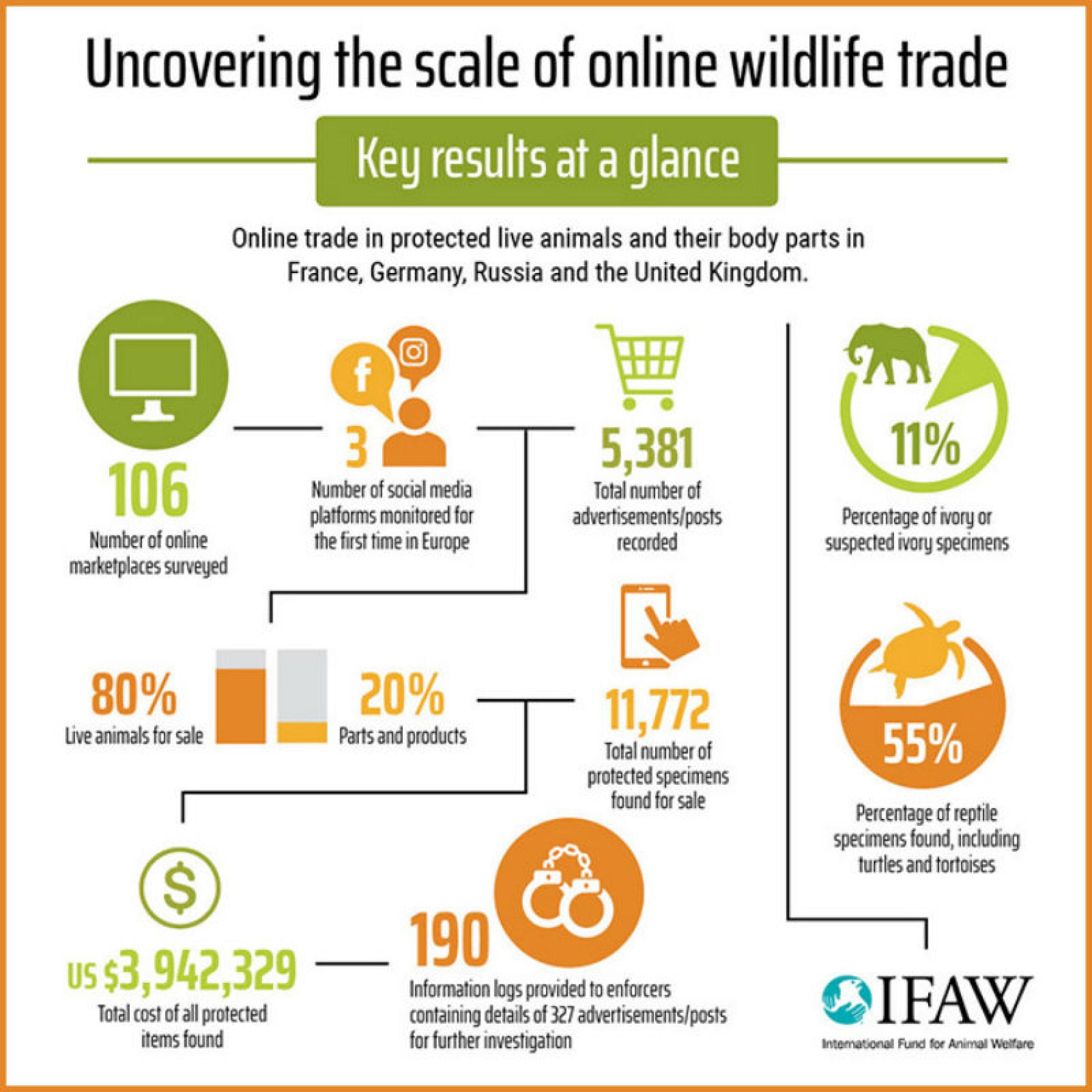 Revealed: the scale of Europe's online trade in animals threatened with ...