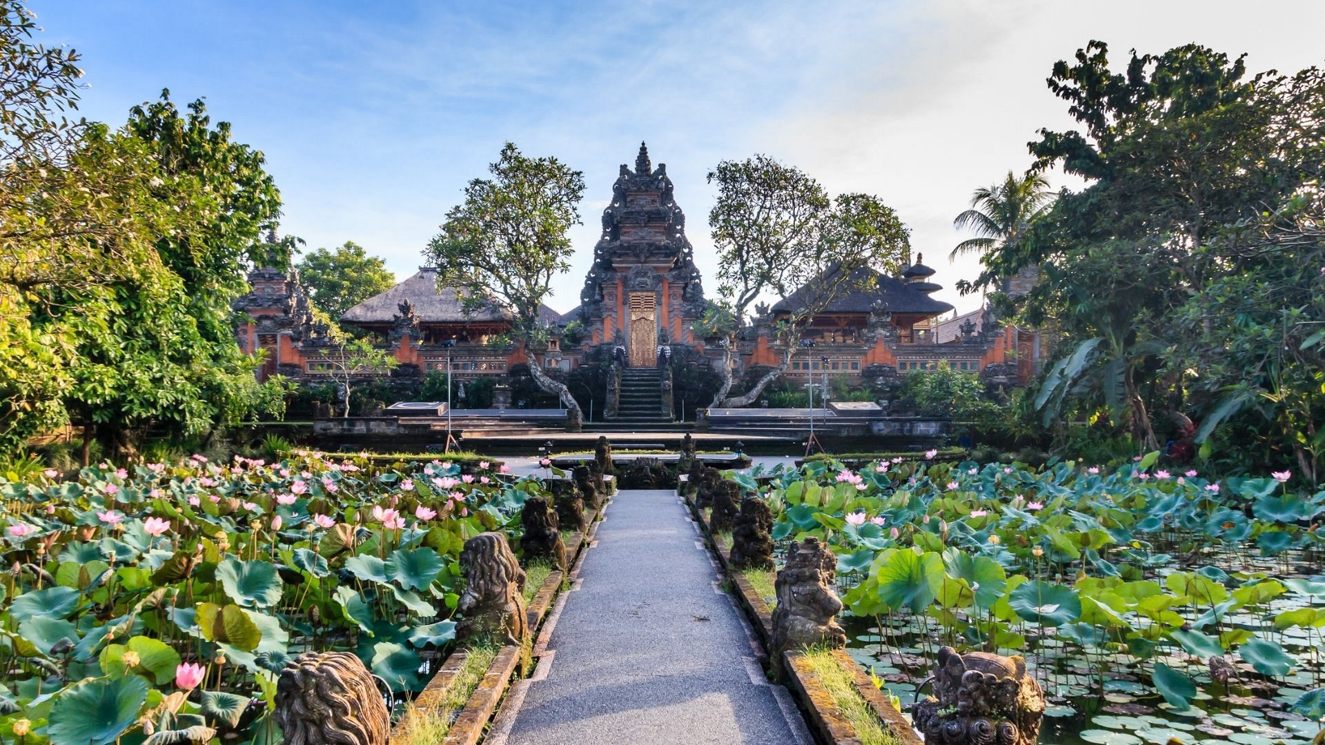 Bali: What to do and where to stay in the Ubud jungle district | Euronews