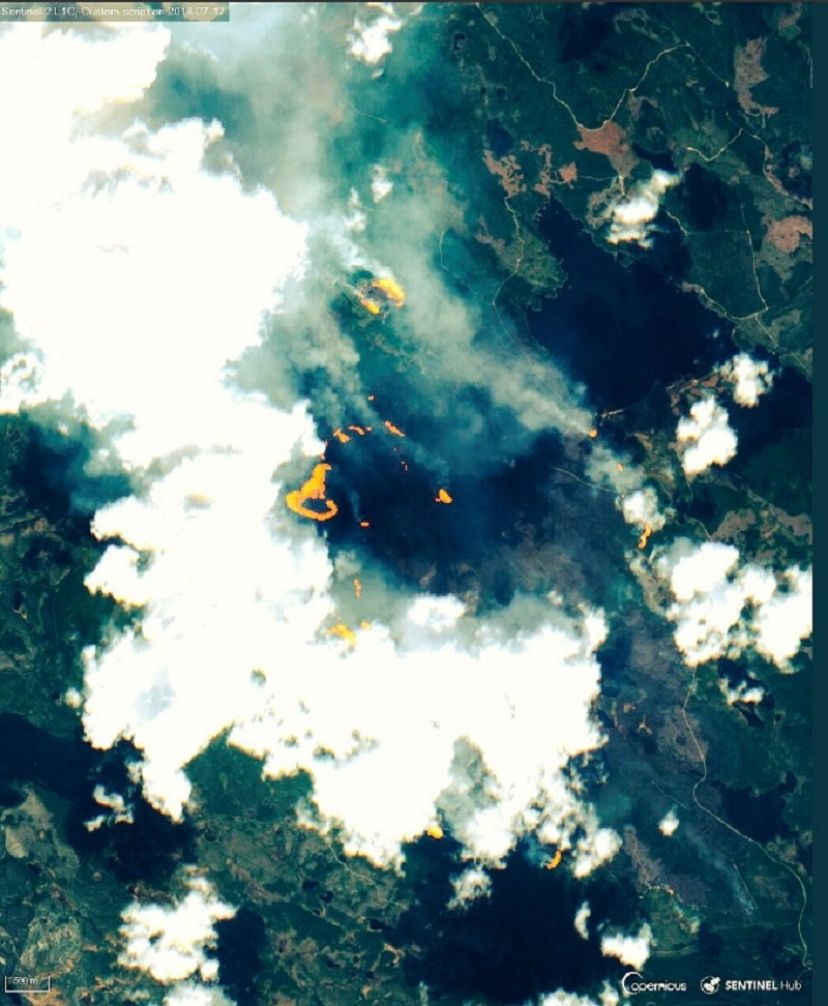 Wildfires rage in Arctic Circle as Sweden calls EU for help | Euronews