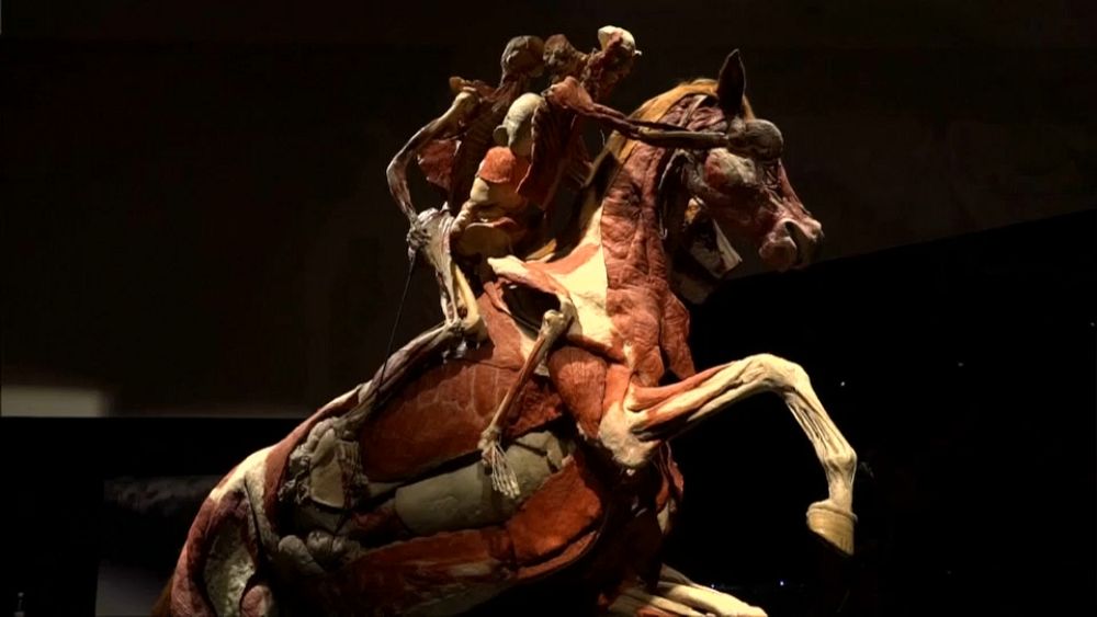 VIDEO : Preserved human bodies on show in macabre London exhibition ...
