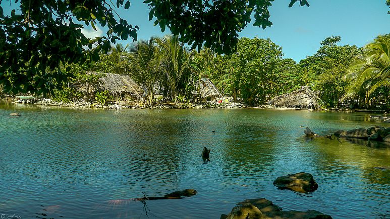 Tikopia: take a step inside a remote civilization | Euronews