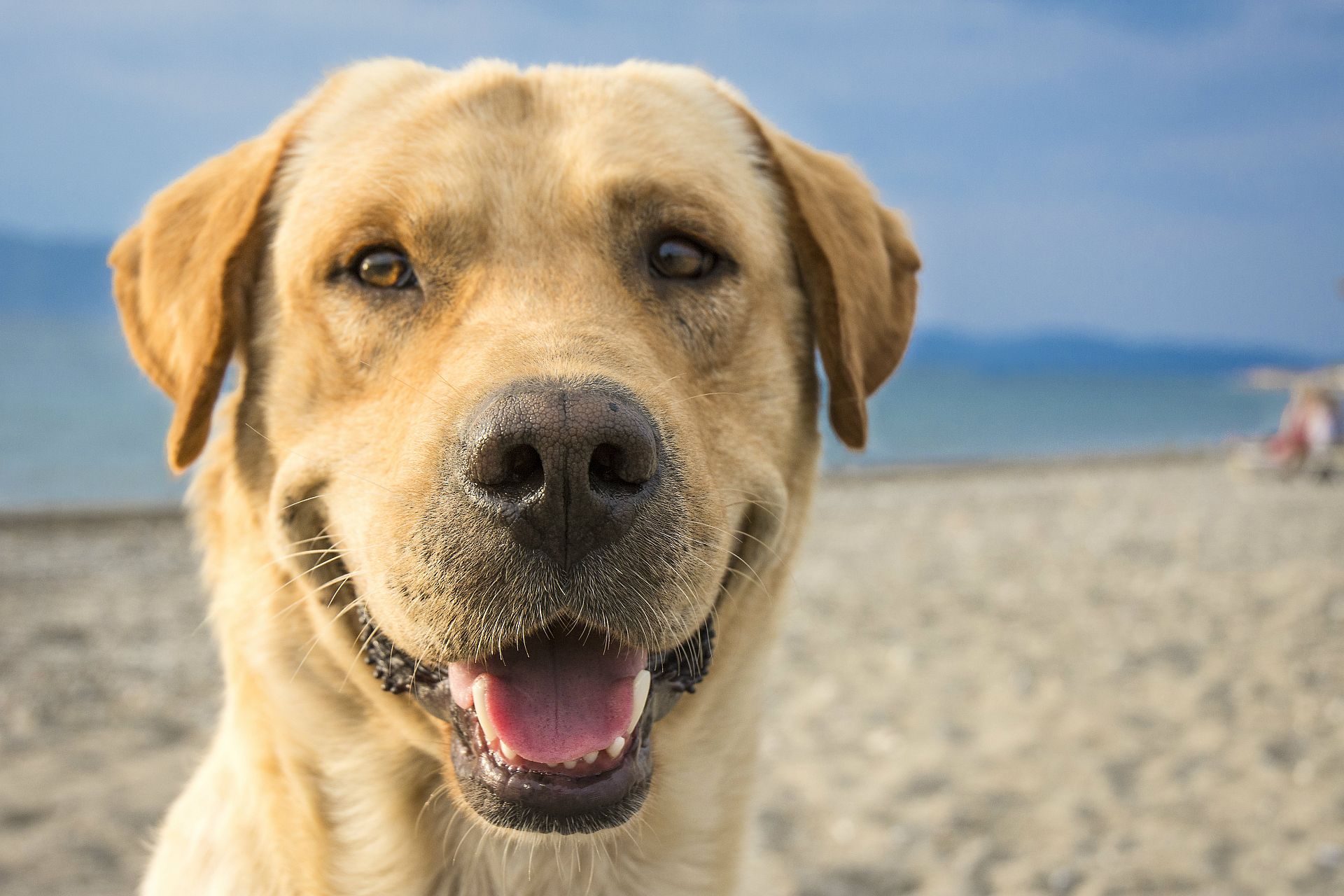 Photographer Daniel Grecu's lens for mother nature | Euronews