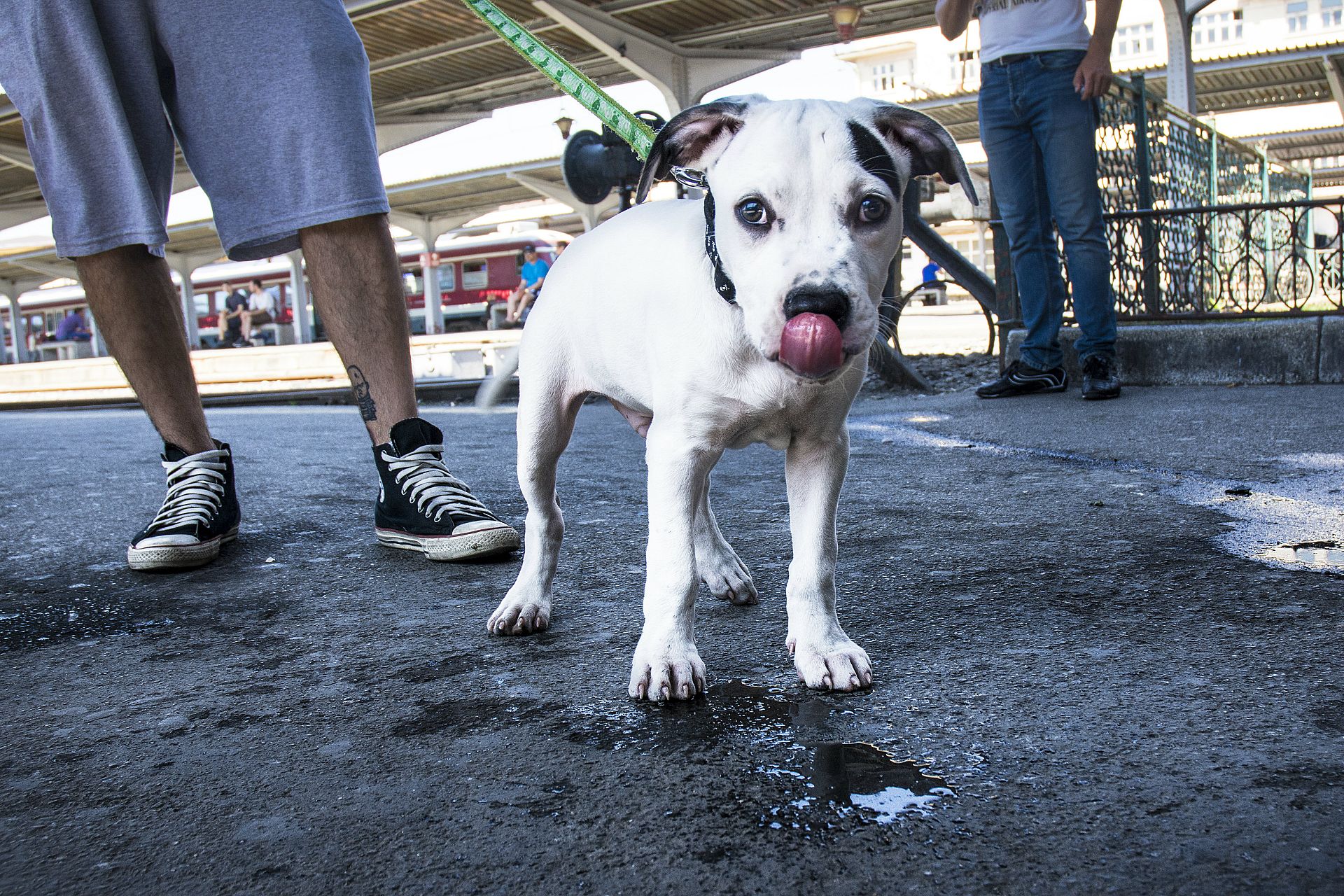 Photographer Daniel Grecu's lens for mother nature | Euronews