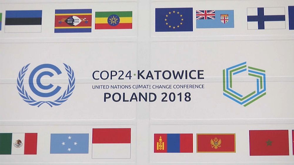 COP24: il summit di domenica sul clima | Euronews