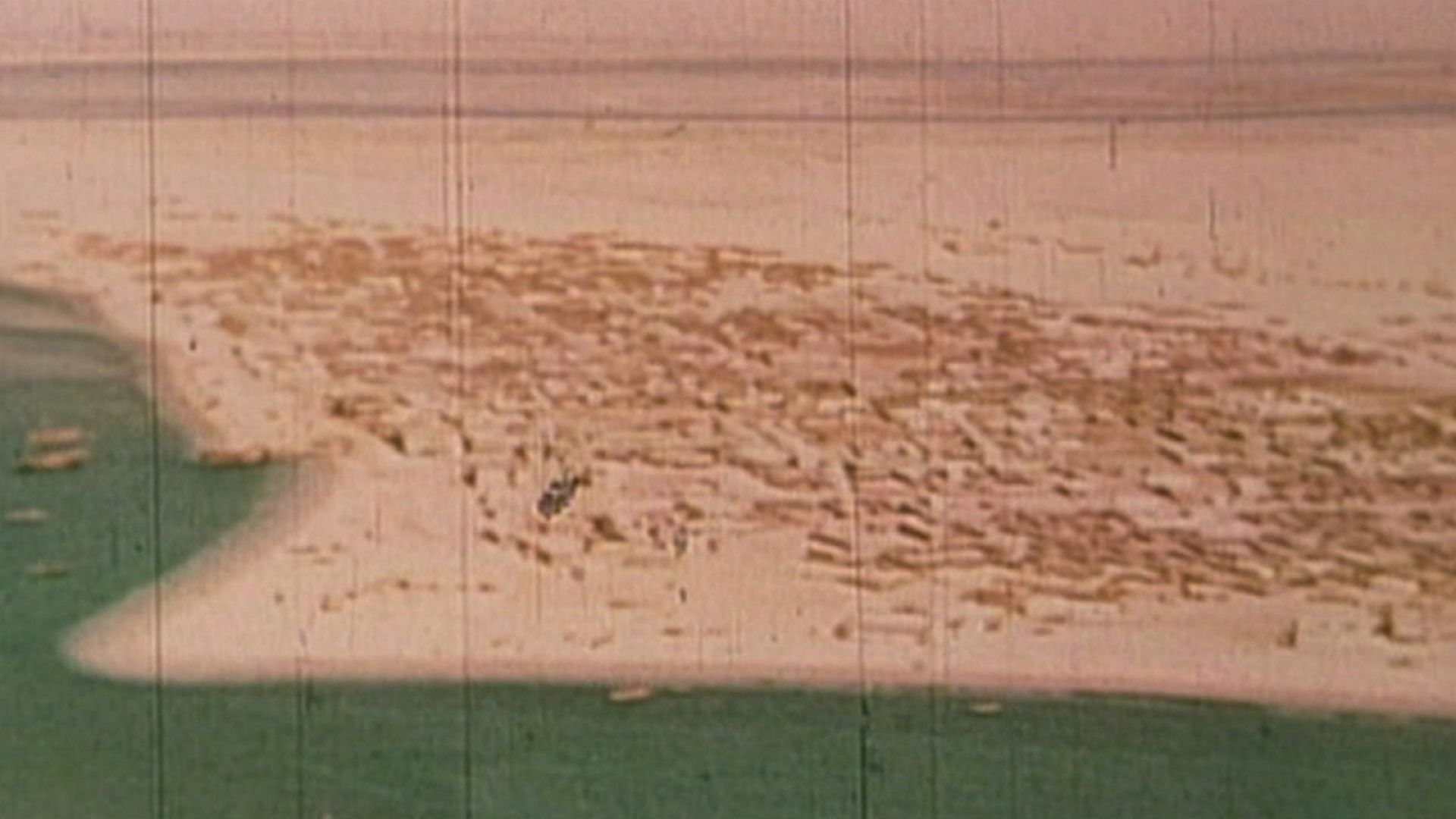 How was the UAE founded? | Euronews