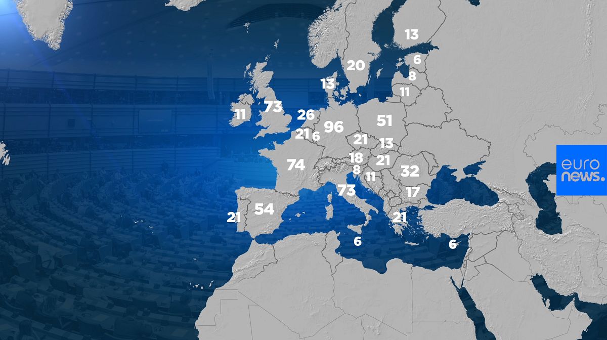 How do the European Parliament elections work? | Euronews