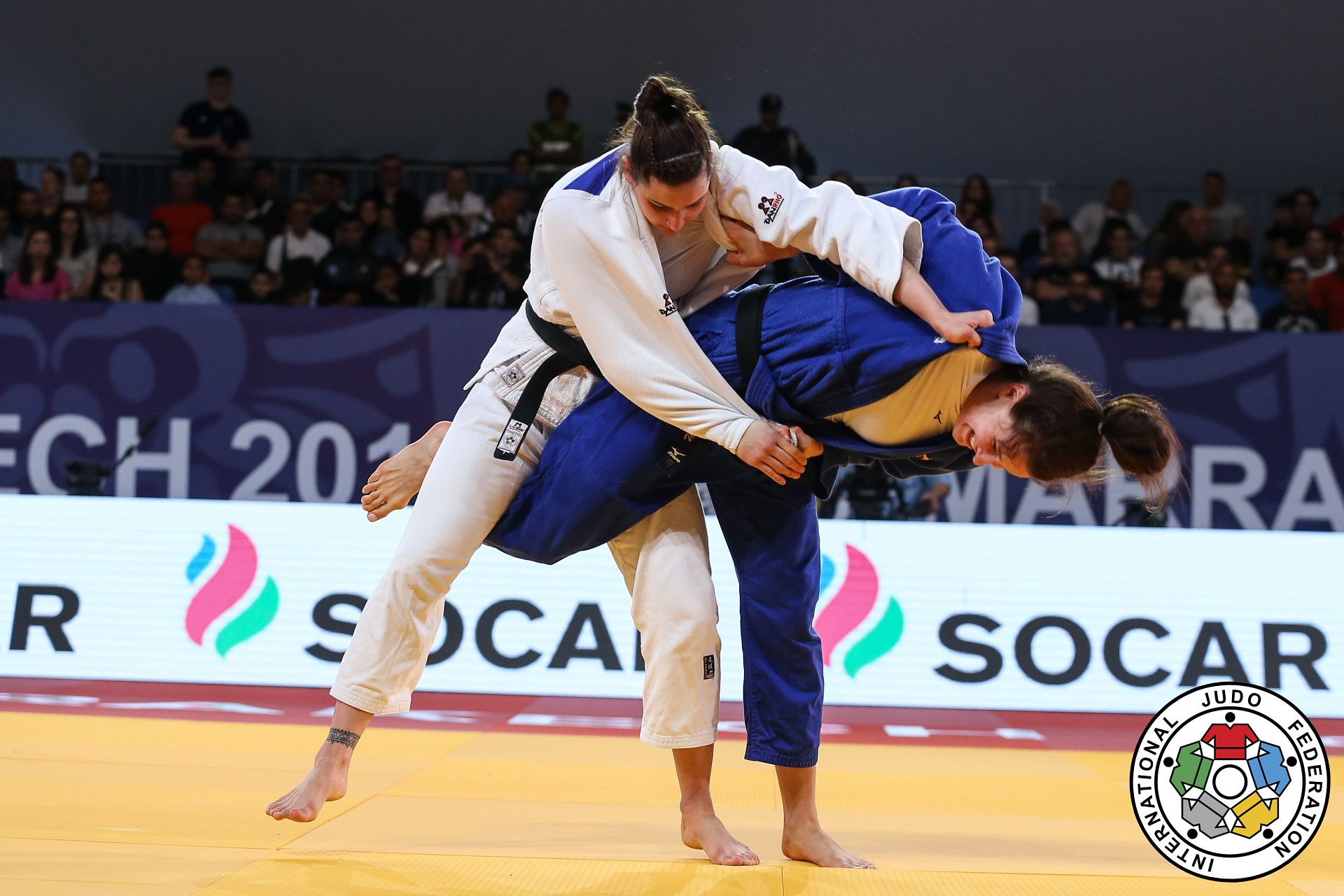 Fast footwork and fantastic judo on final day of Marrakech Grand Prix ...