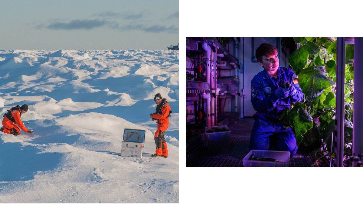 Giving the polar regions a human face | Euronews