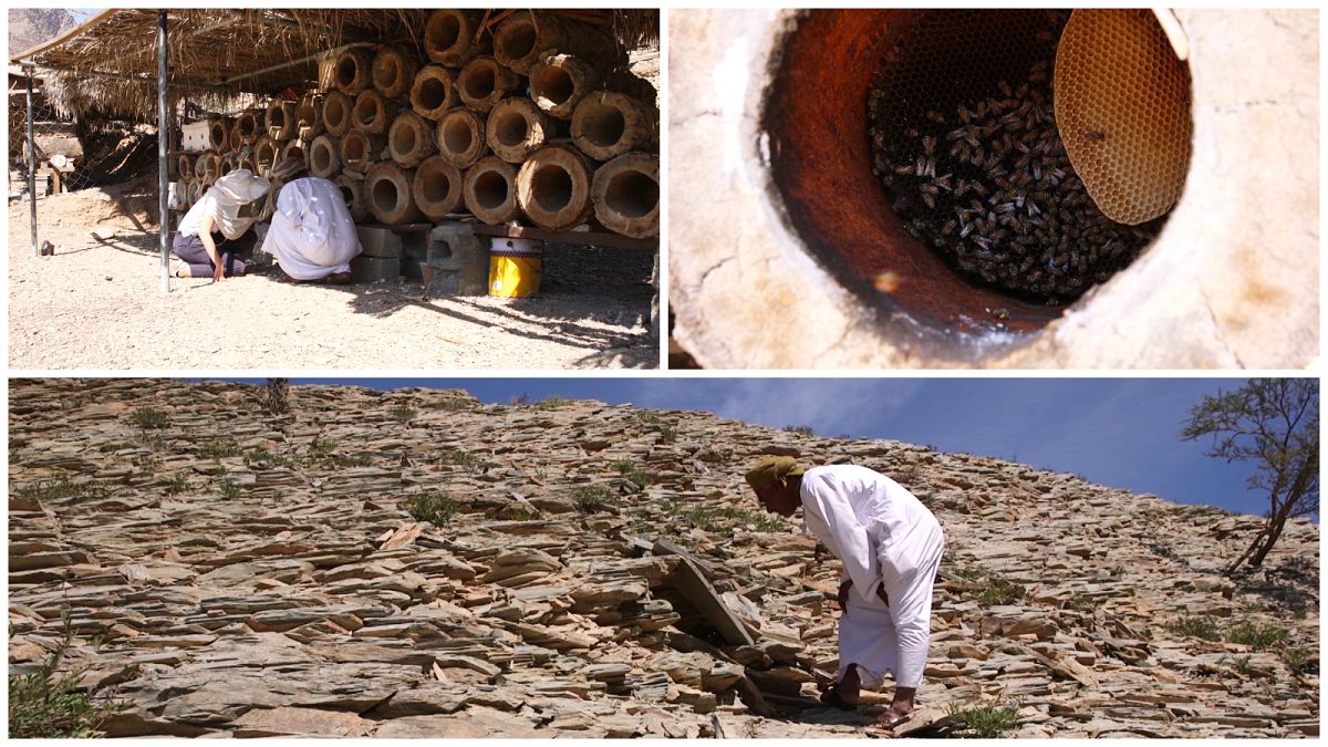 Why is honey in Oman creating a business buzz? | Euronews