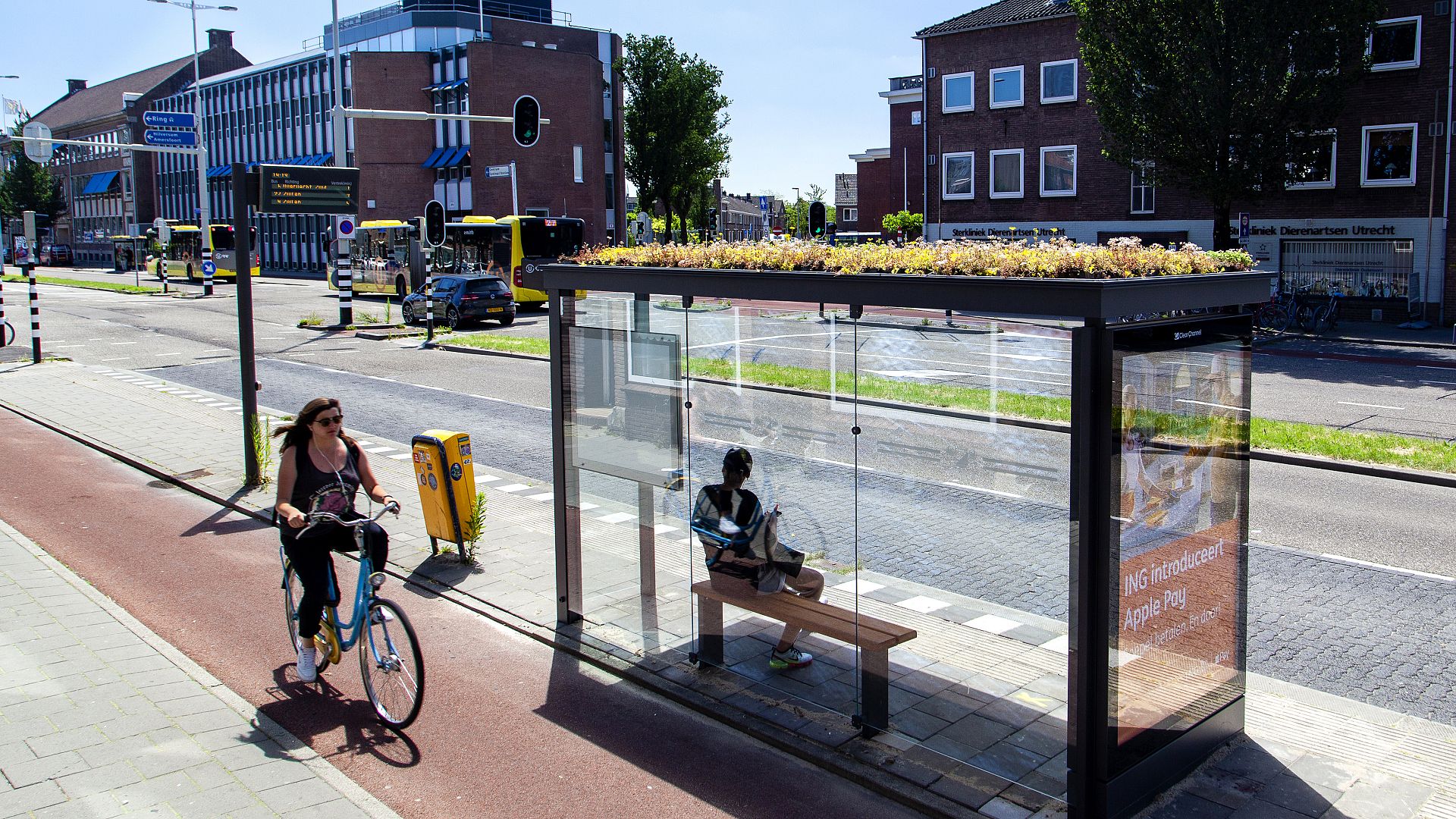 Getting from A to bee: Utrecht installs environmentally-friendly bus ...