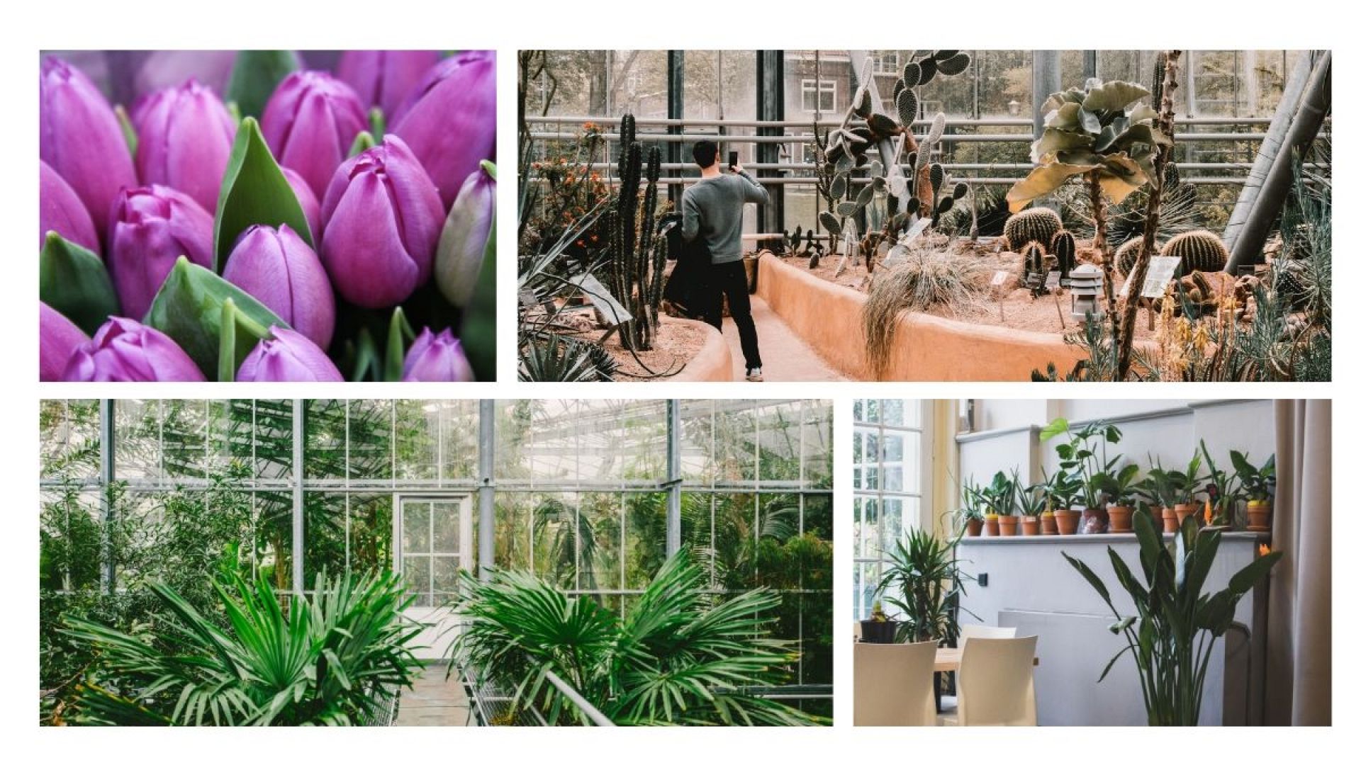 5 of Europe's most beautiful gardens | Euronews