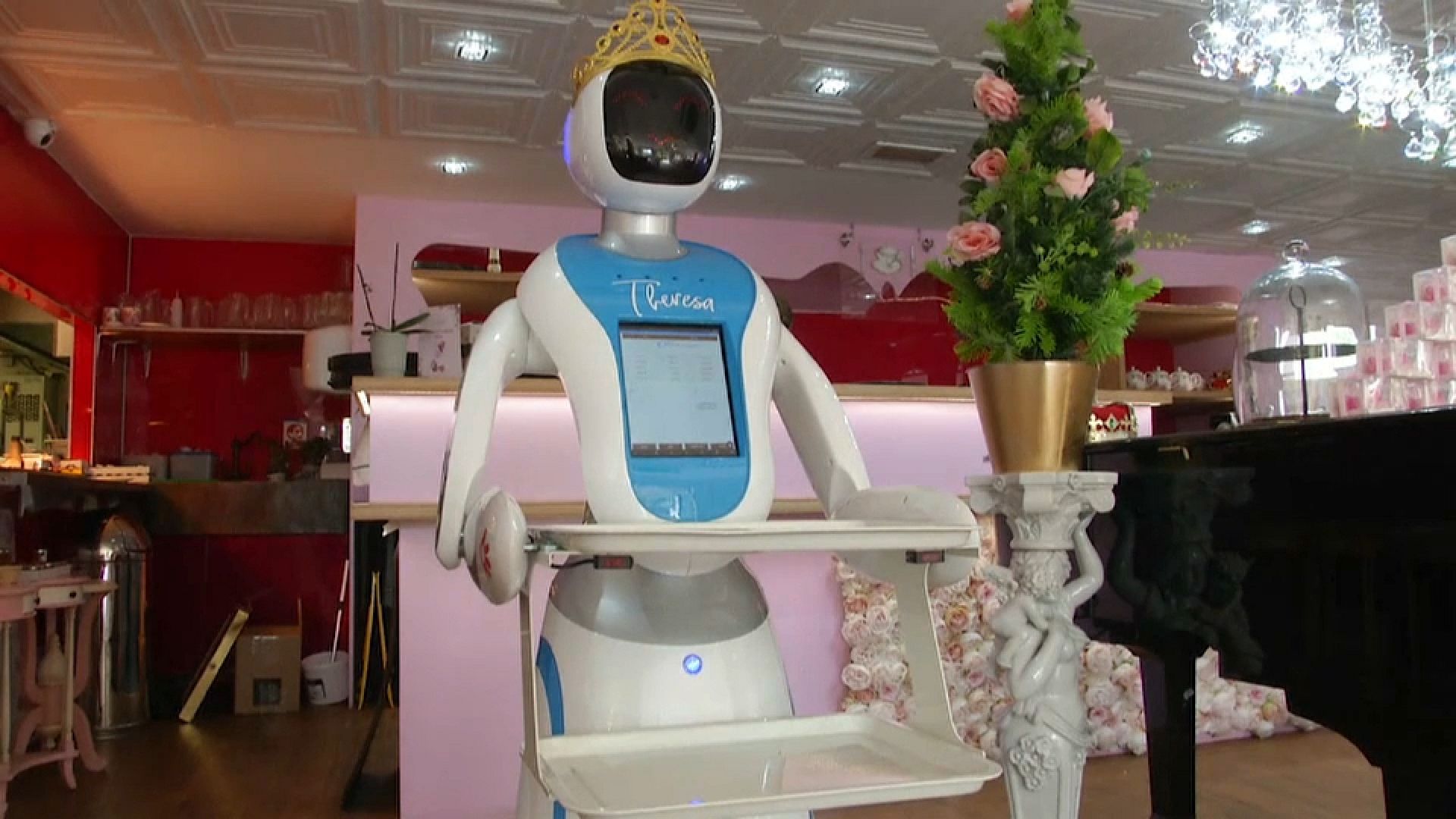 'Breakfast means breakfast': Real-life 'Maybot' named after Theresa May | Euronews