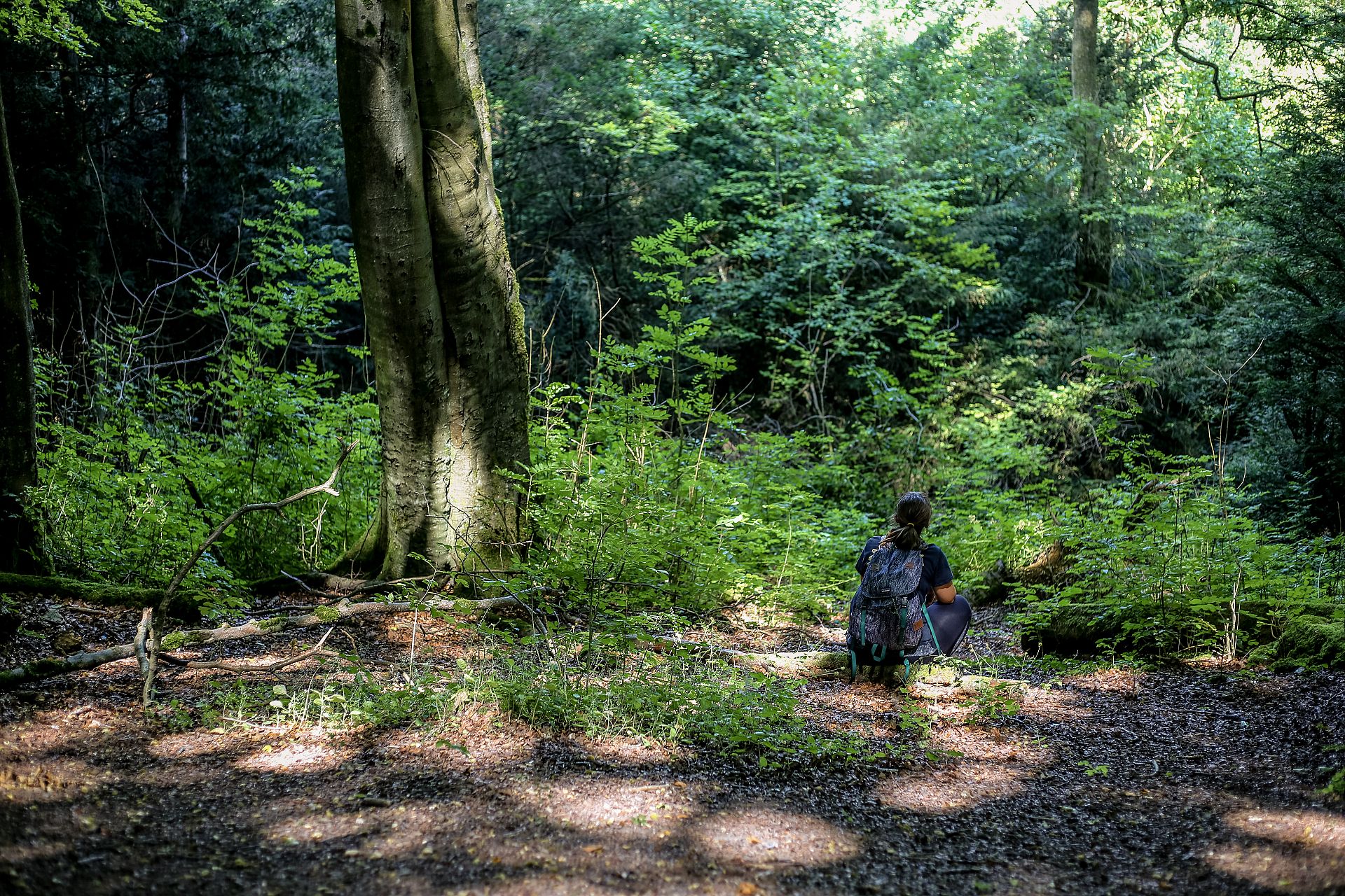 London's new nature reserve has as much biodiversity as a rainforest ...