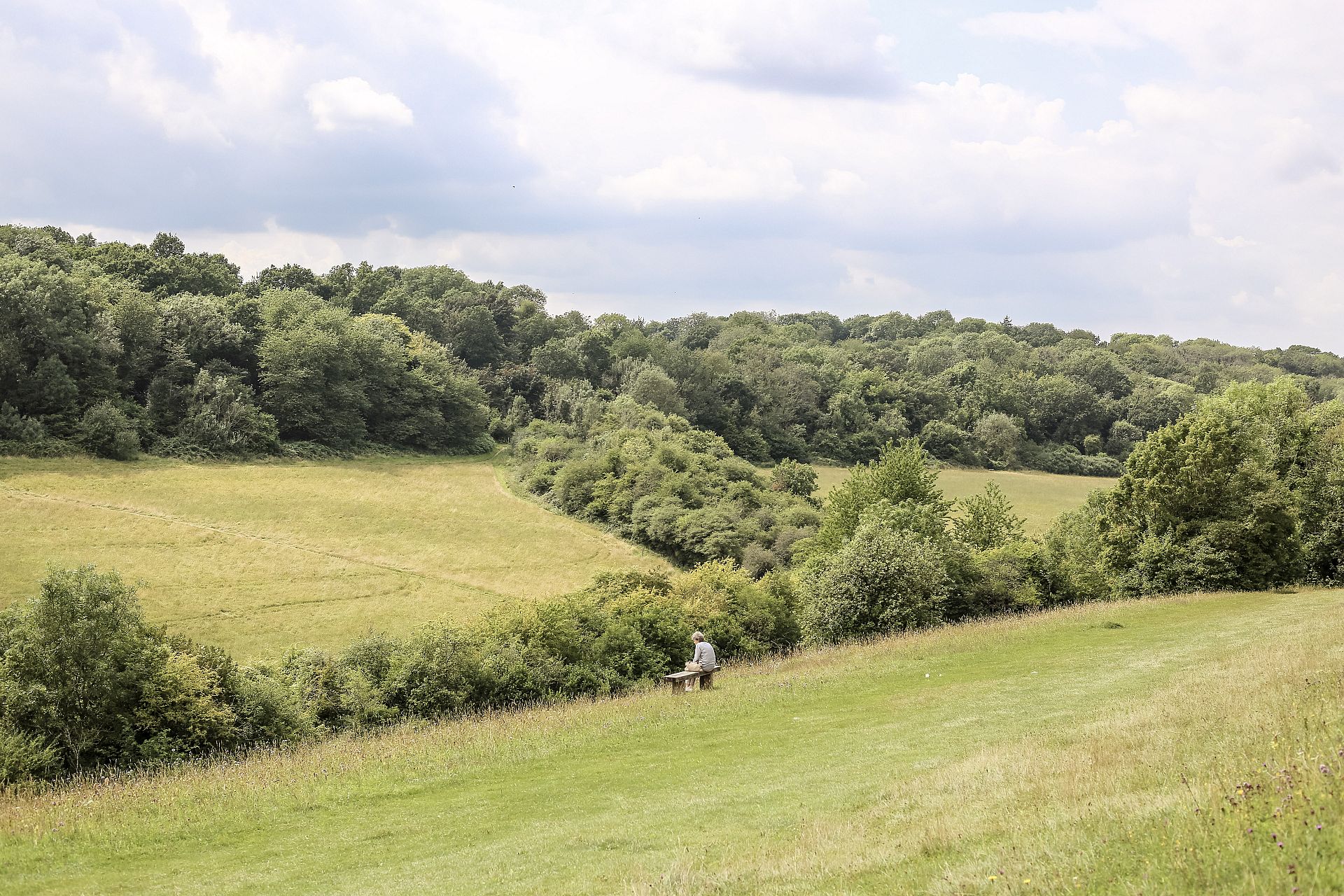London's new nature reserve has as much biodiversity as a rainforest ...
