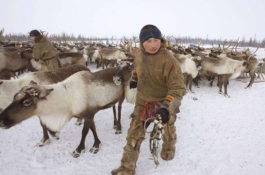 Who are Europe's indigenous peoples and what are their struggles ...