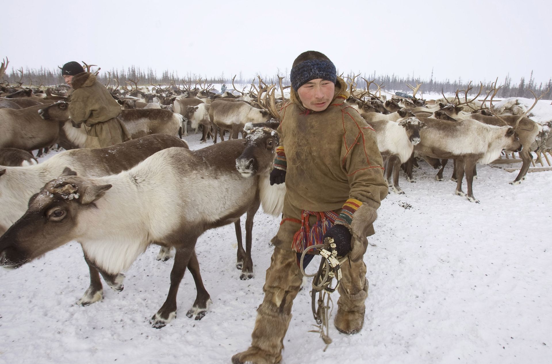 Who are Europe's indigenous peoples and what are their struggles ...