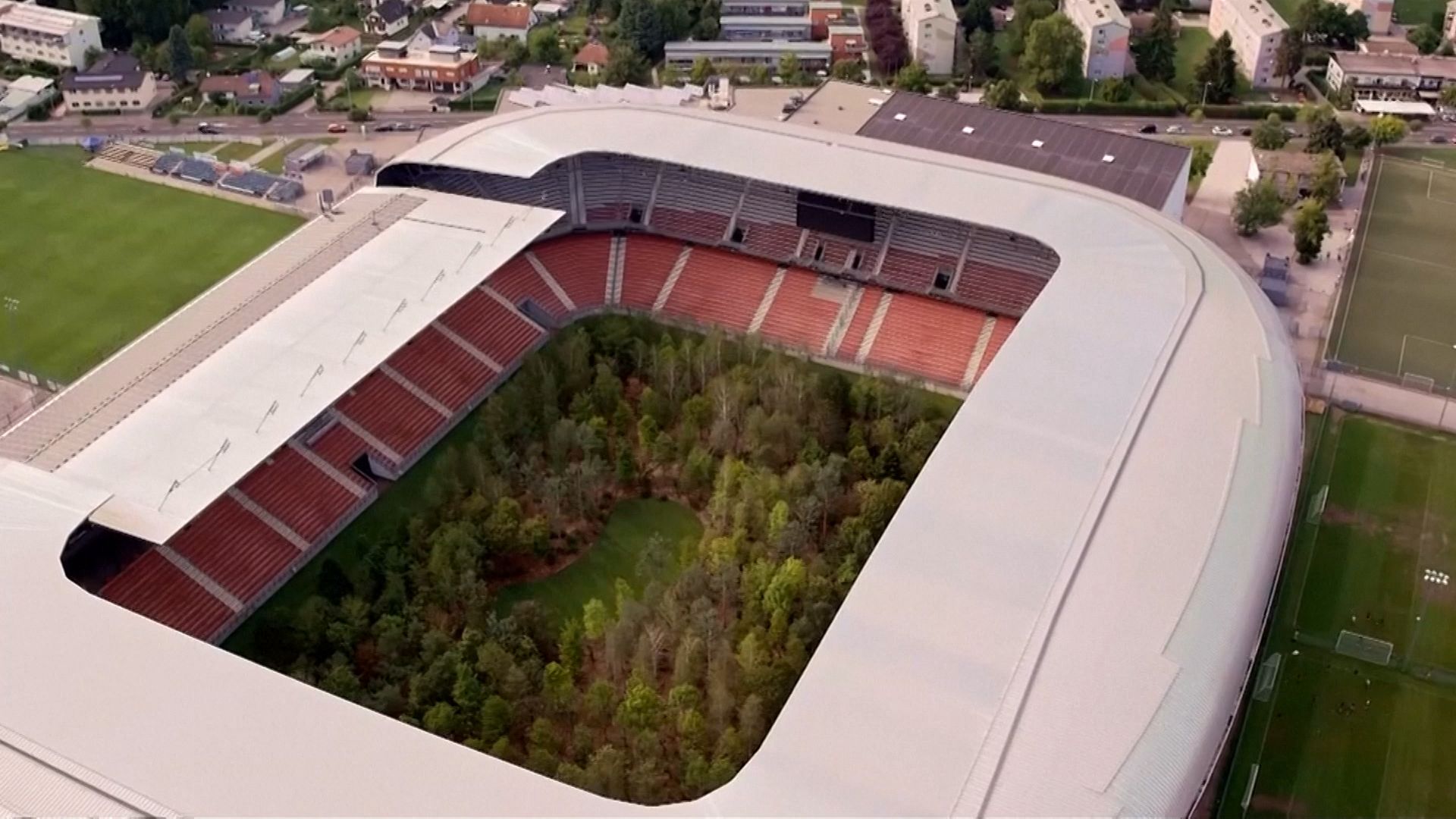 Video. Art installation transforms Austrian soccer stadium into forest ...