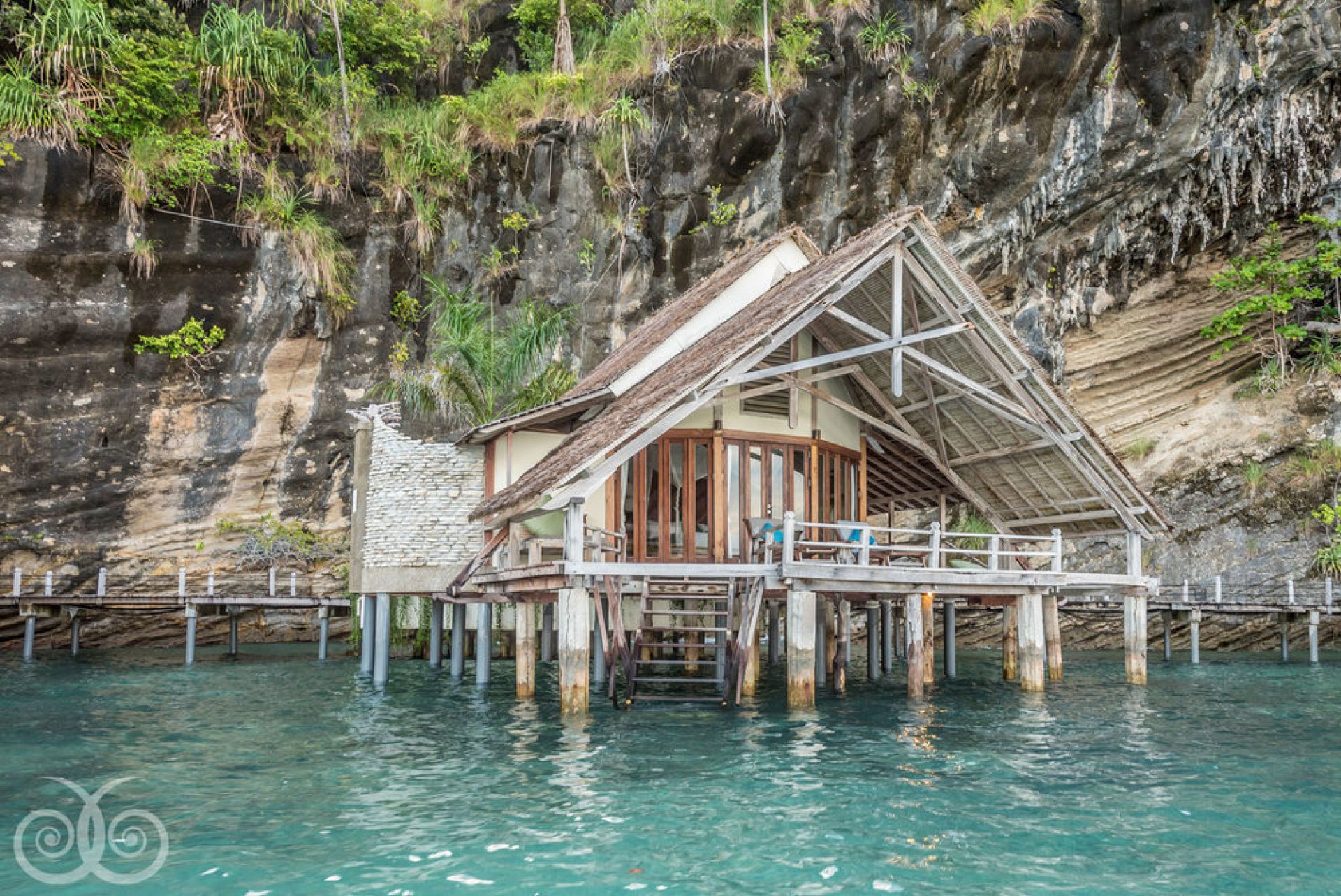 5 incredible eco-resorts helping to save endangered animals | Euronews