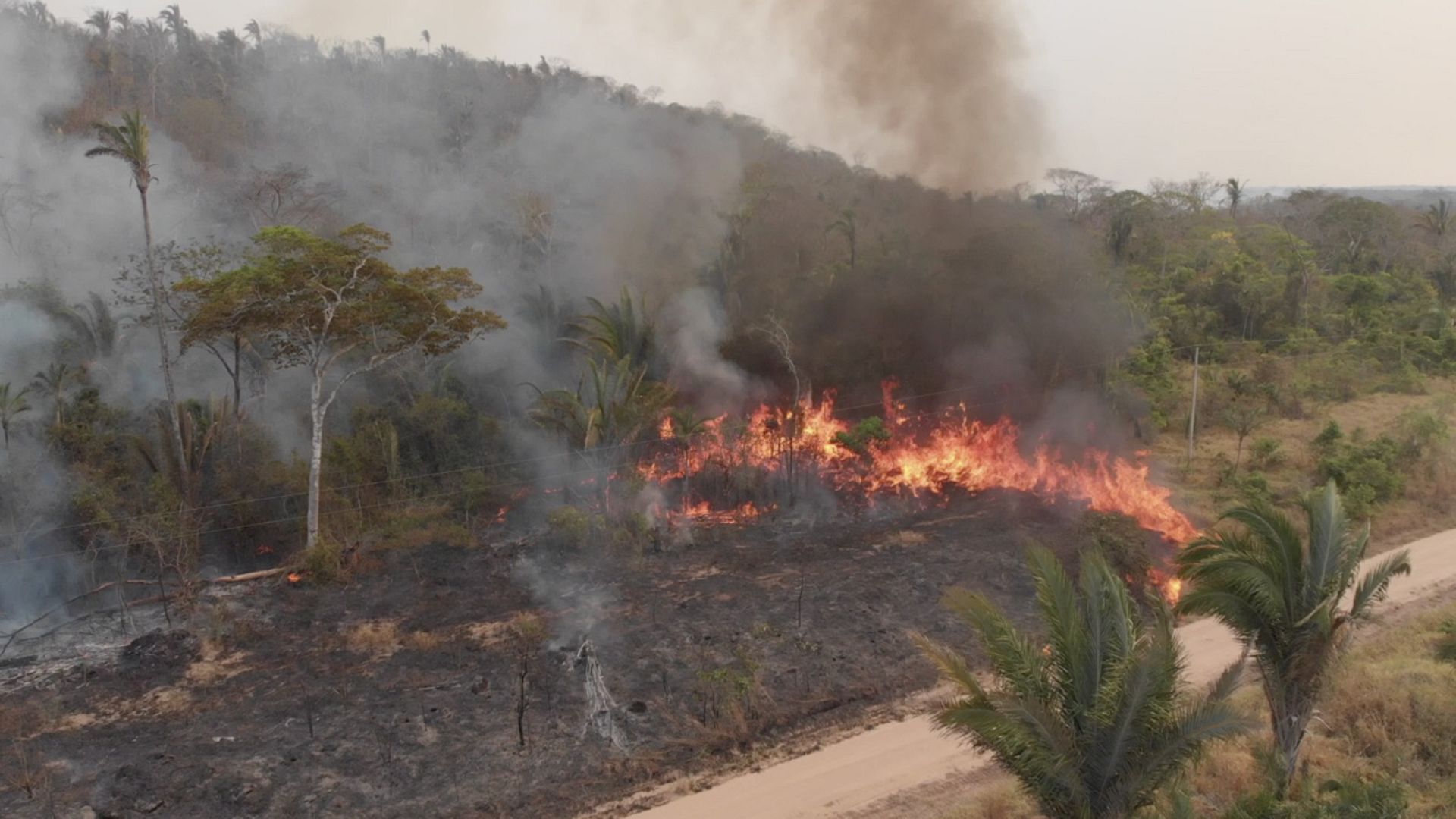 As 12 million hectares burn in the Amazon, Bolivia receives EU support ...