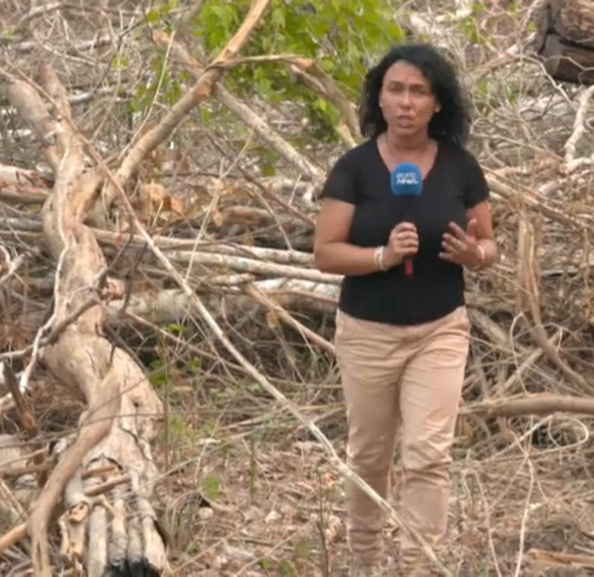 Amazonas brennt: Bolsonaro, Morales unter Beschuss | Euronews