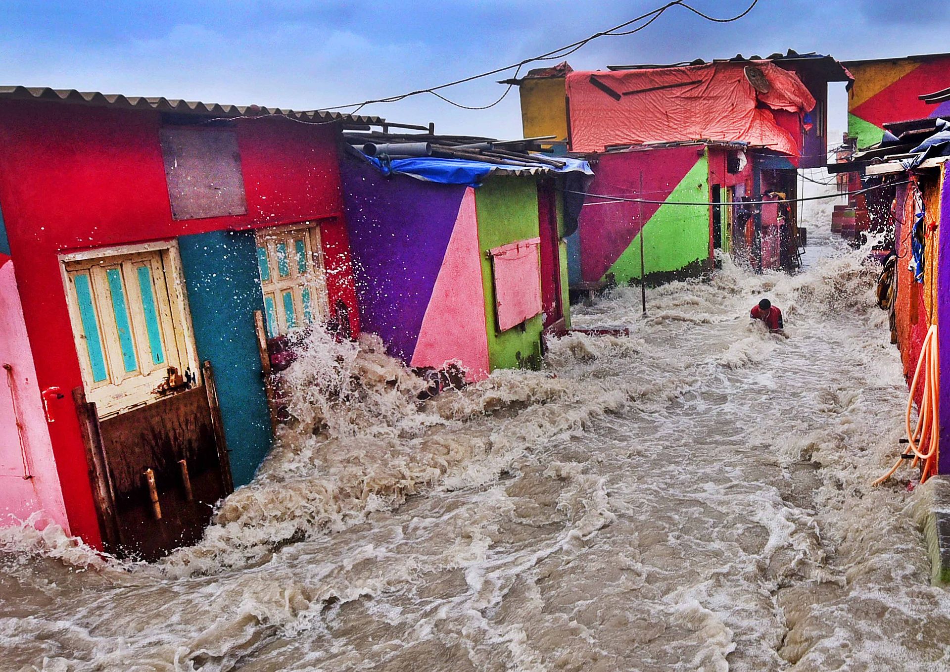 Environmental Photographer of the Year winners show raw impact of ...